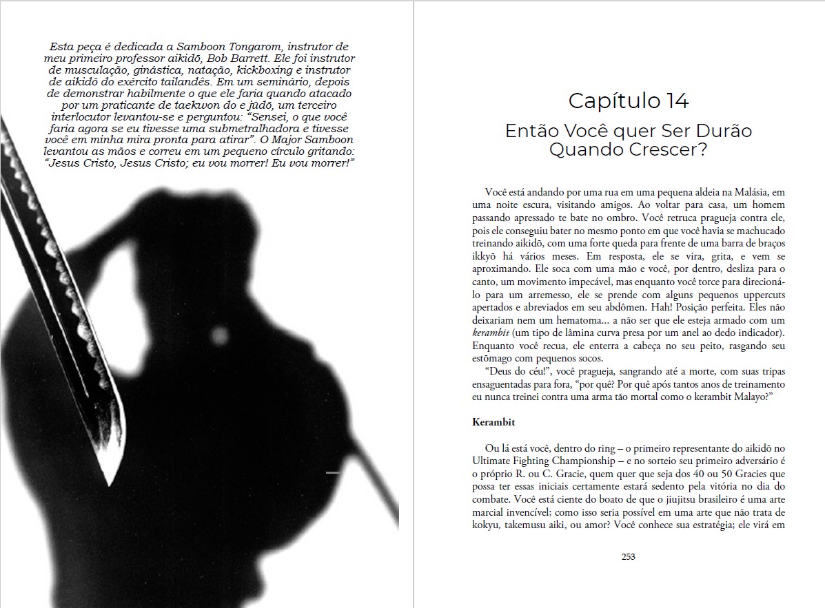 Ellis Amdur: Duelo com O-sensei – The Ran Network